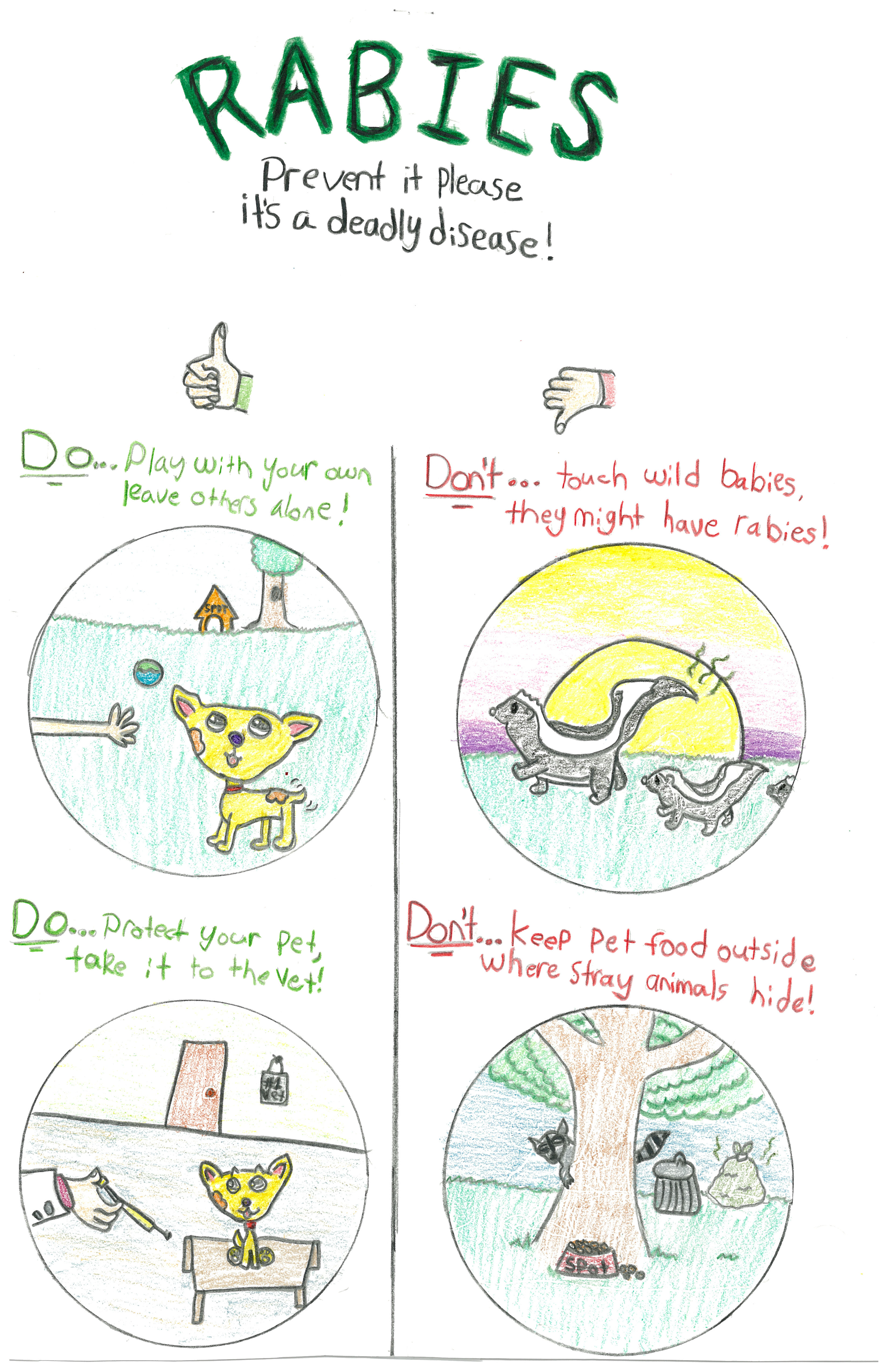 Past Winners – Rabies Awareness and Prevention Poster Contest | Texas DSHS