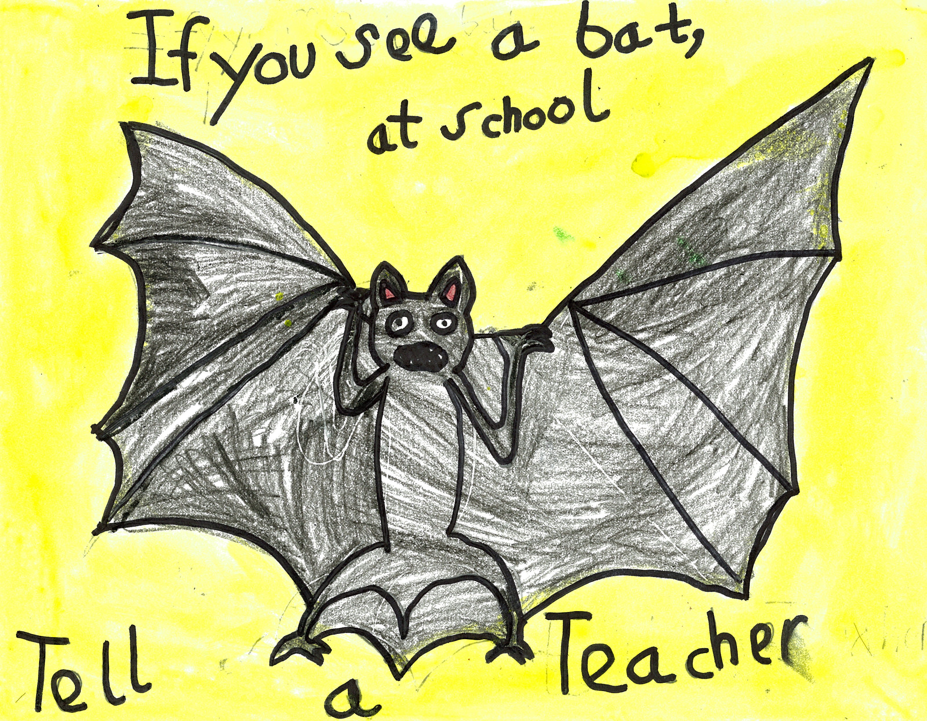 Past Winners – Rabies Awareness and Prevention Poster Contest | Texas DSHS